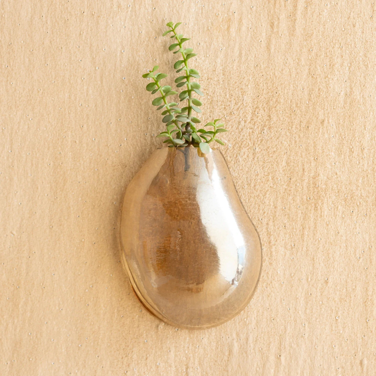 Dew Wall Décor Pear – The Living Influence