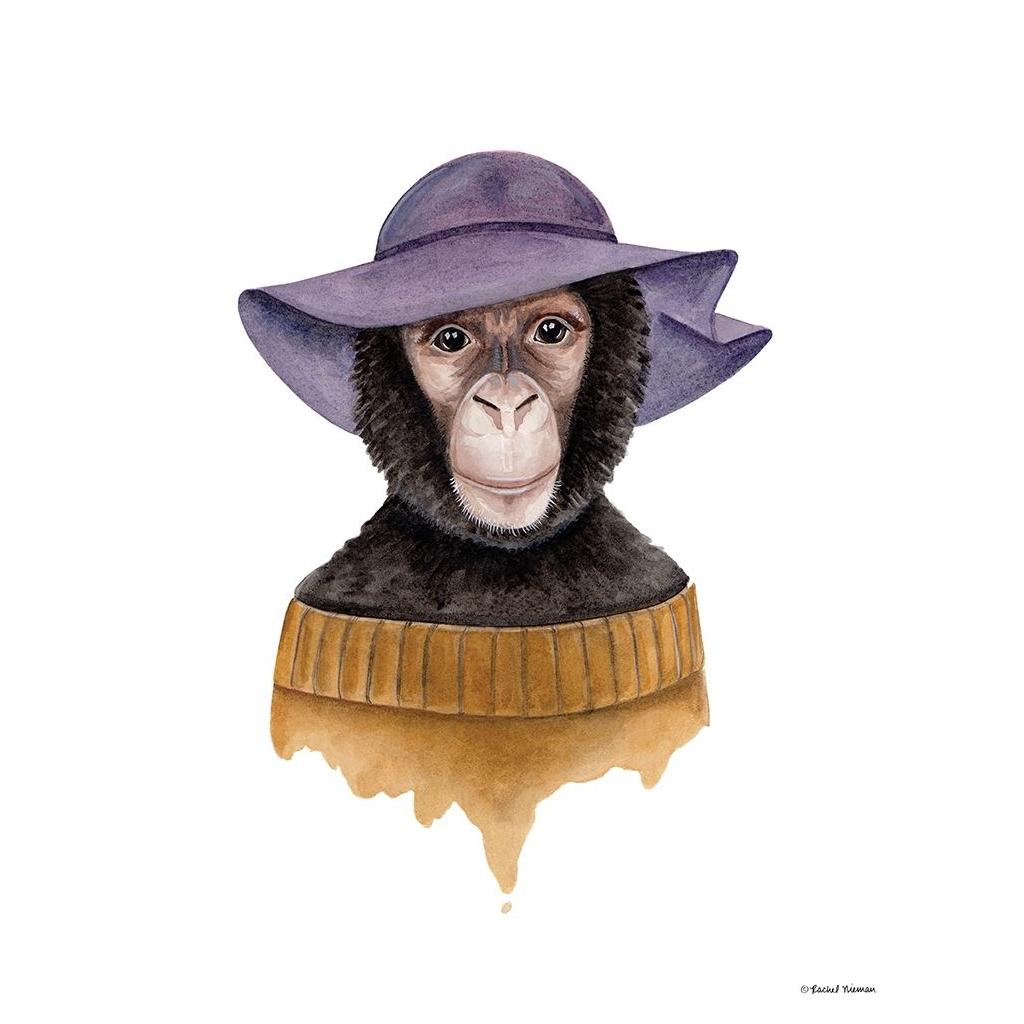 Cozy Chimp – The Living Influence