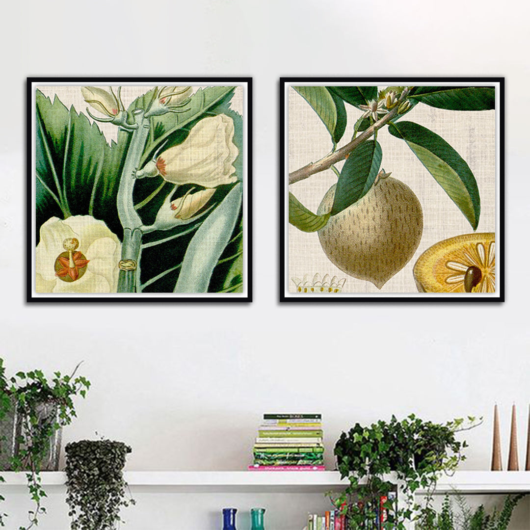 Cropped Turpin Tropicals Set – The Living Influence